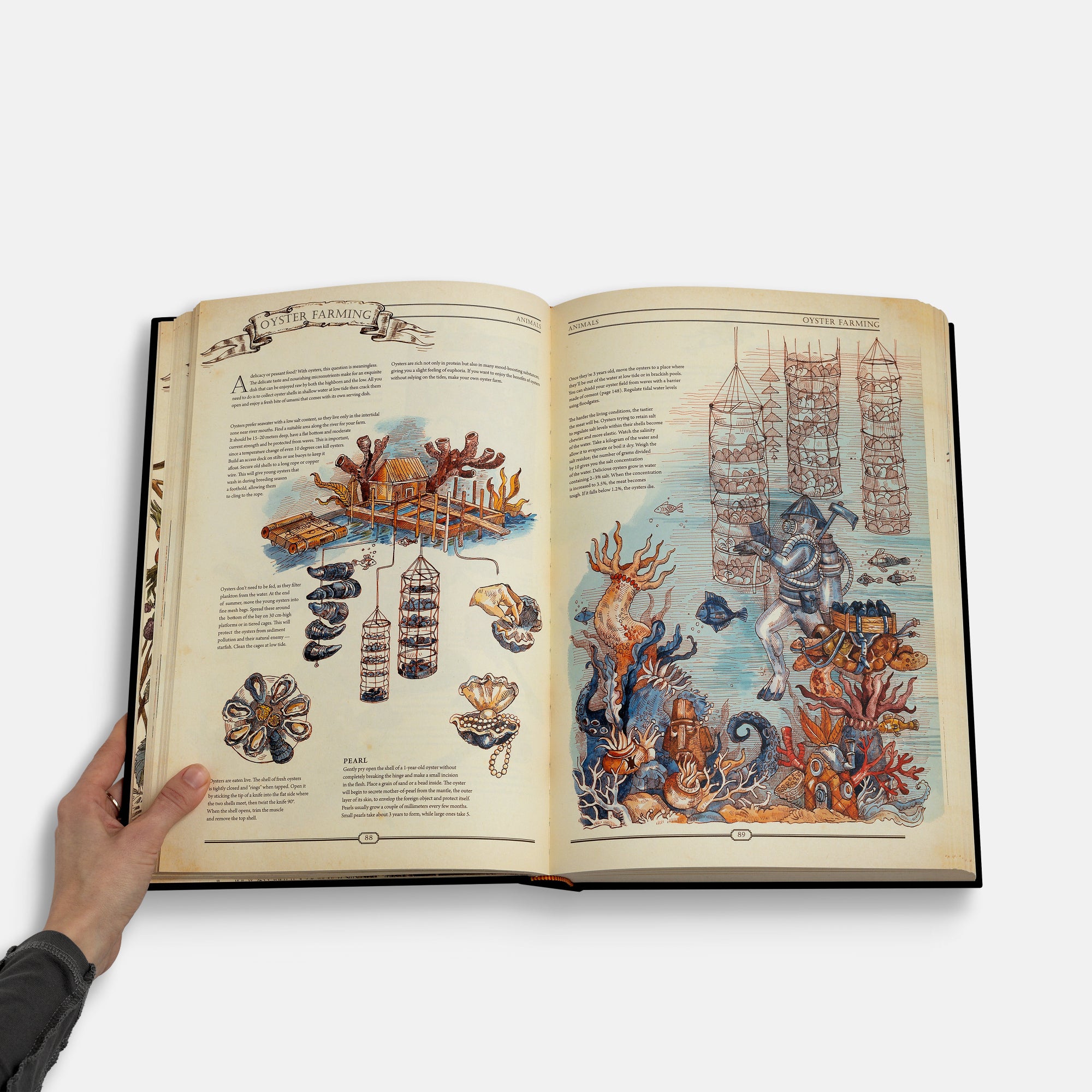 The Book: Ultimate Guide